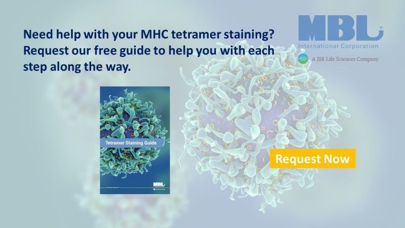Tetramer Staining Guide - MBLI